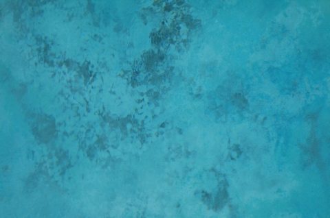 Pool Plastering 101: A Step-by-Step Guide - Best Pool Builders ...