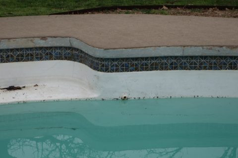 Pool Plastering 101: A Step-by-Step Guide - Best Pool Builders ...